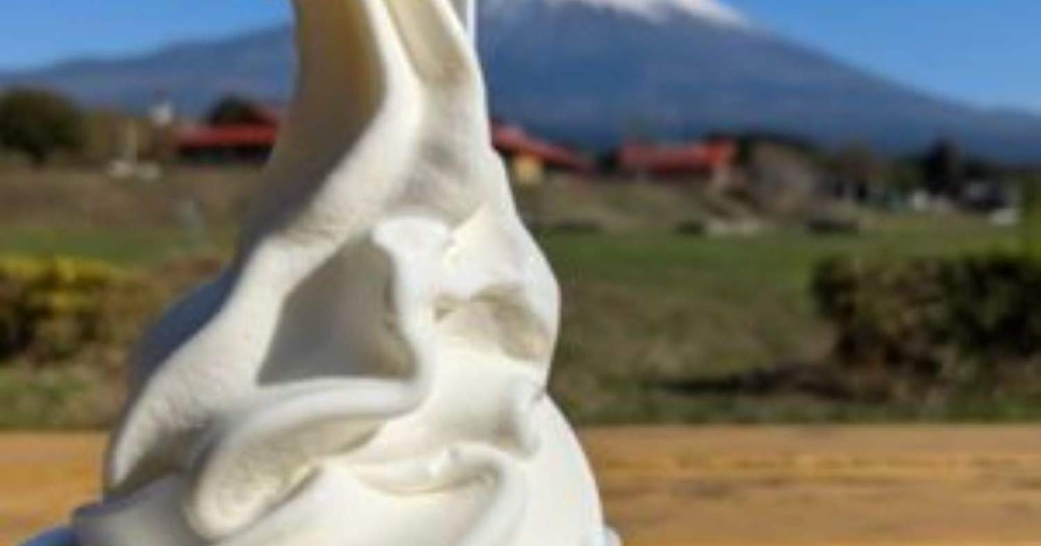 Great Views of Mt. Fuji and Autumn Leaves 1Day Tour from Nagoya - Klook ...