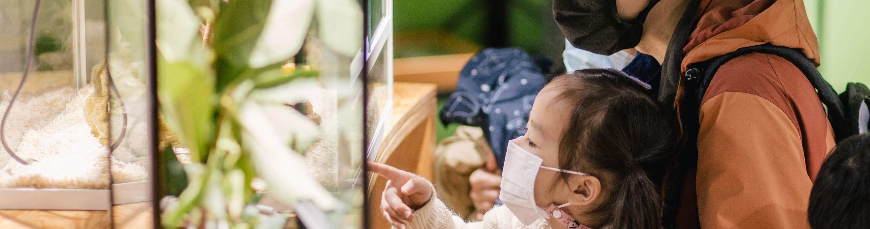 Taipei: Visit and Explore the Bugs Bass Insectarium - Klook