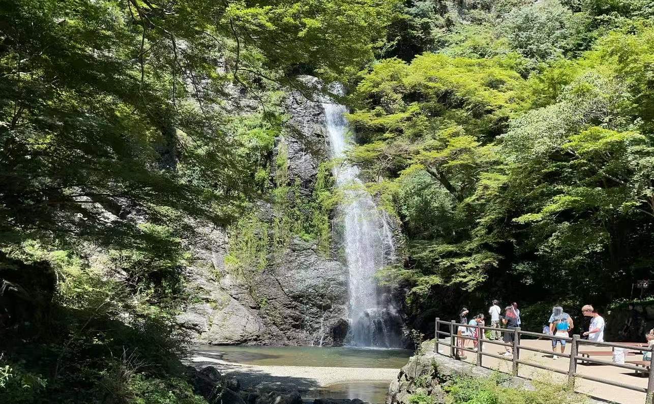 Osaka Private Car Charter to Kyoto/Nara/Kobe - Klook