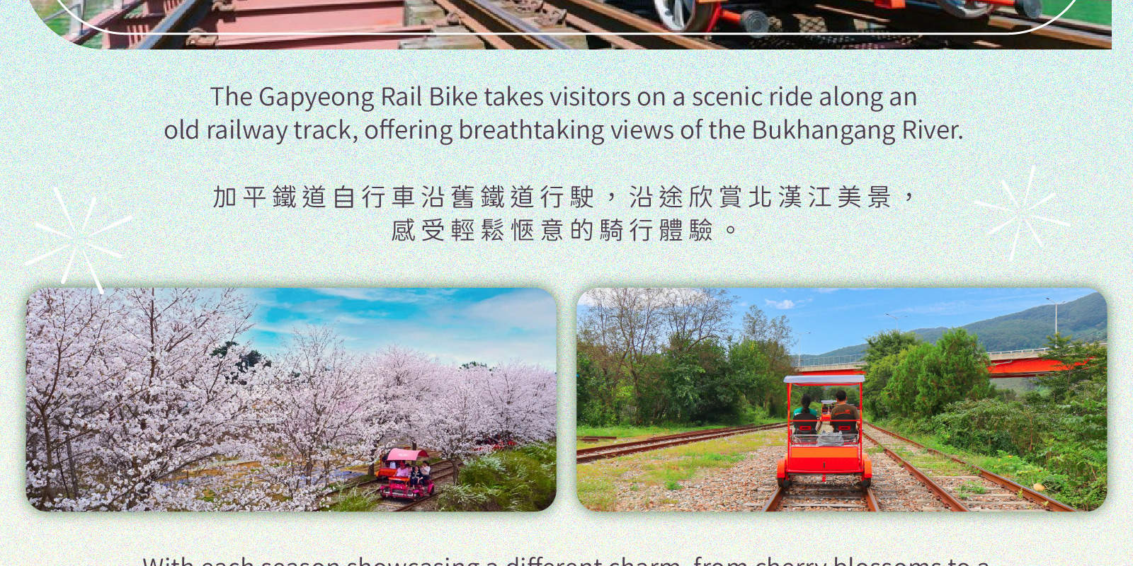 Eden Cherry Blossom Road x AQUAFIELD Jjimjilbang x Begonia Bird Park - Klook