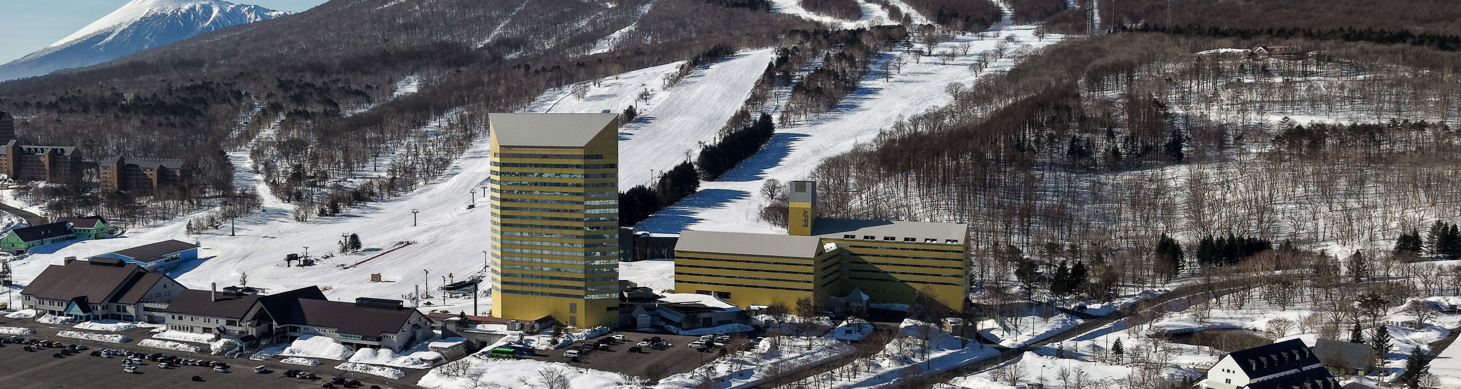 8D6N APPI-Tohoku Ski Adventure / Sendai by Peach Aviation from ...