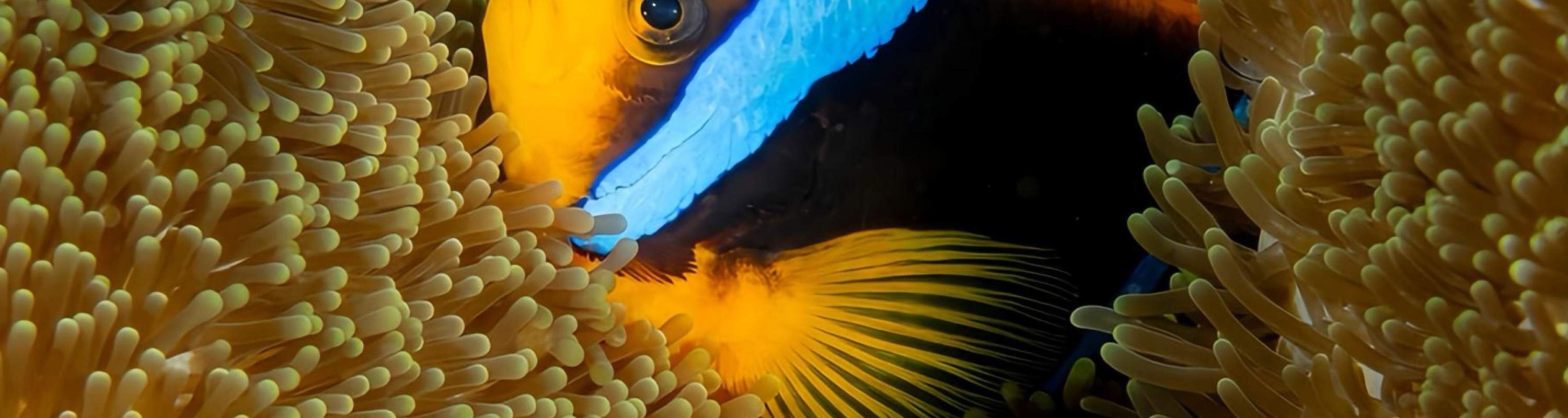 Pukaway Cave Cenote at Coron plus Island Hopping - Klook Philippines