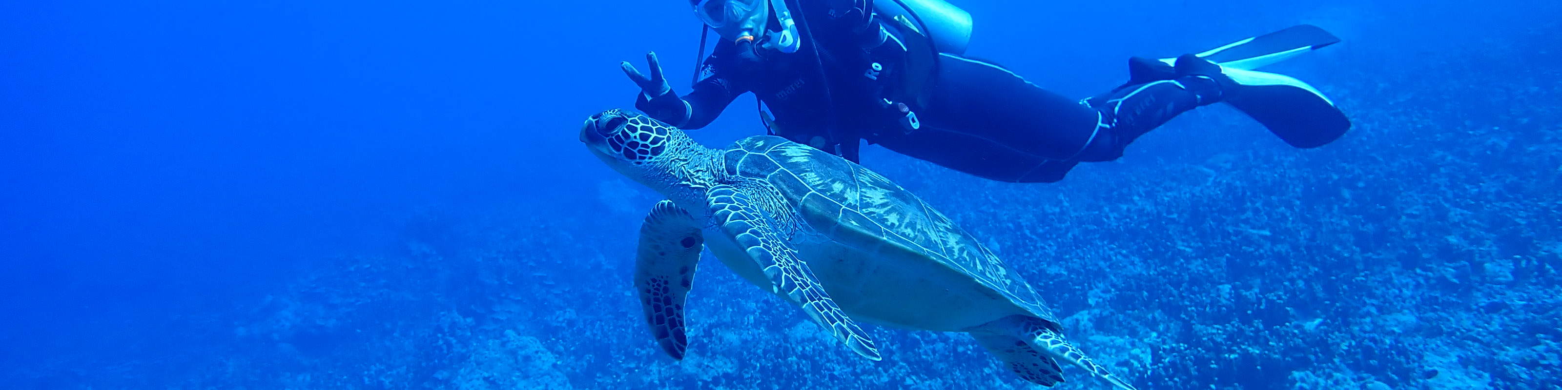 Kayak and Dive from Westin Resort Guam with PADI 5 Star Dive Resort ...