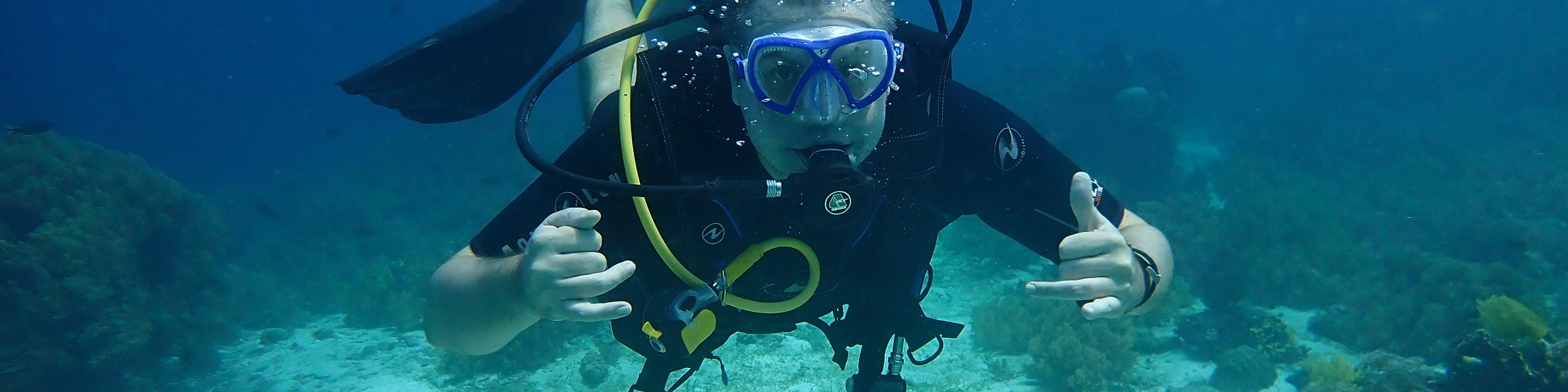 Tuffati nell'avventura: PADI Open Water Diver a Bohol con PADI 5 Star ...