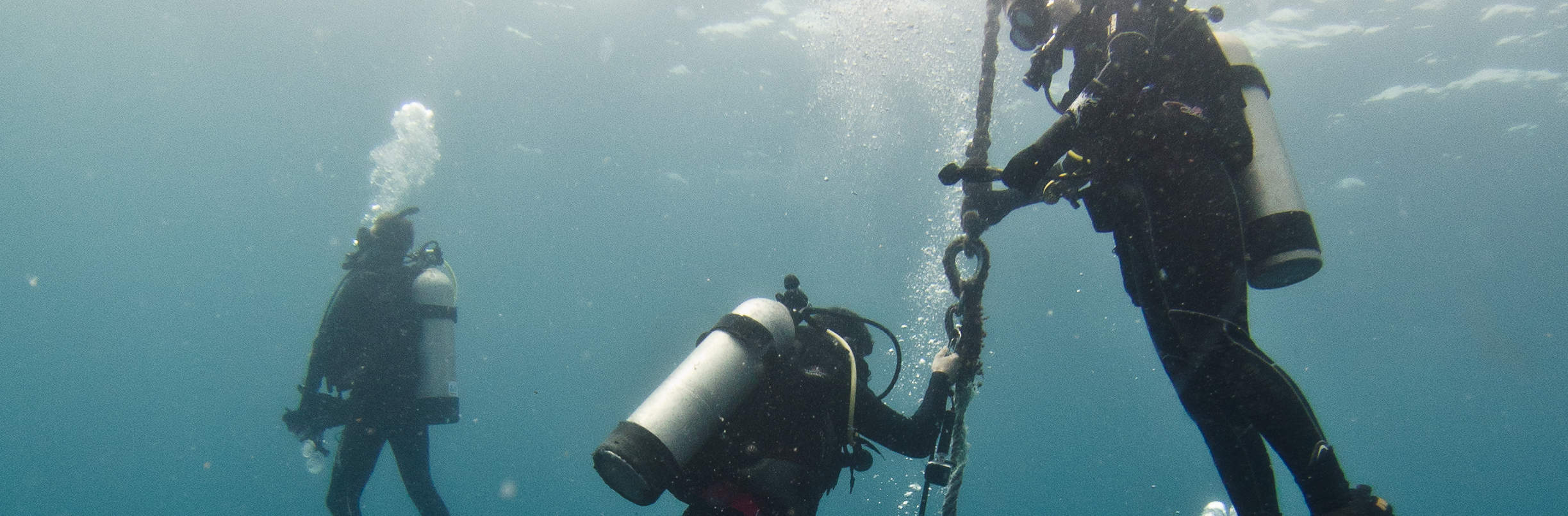 Explore the Depths: PADI AOW Diver in Rainbow Beach with PADI 5 Star ...