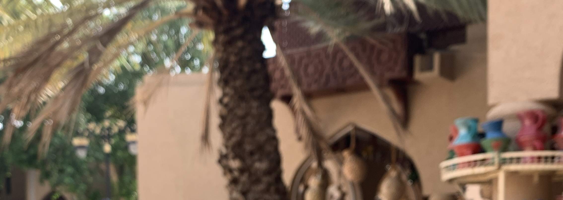 Explore Nizaw Souq, Nizwa Fort and Jabal Akhdar - Discover the Richness ...