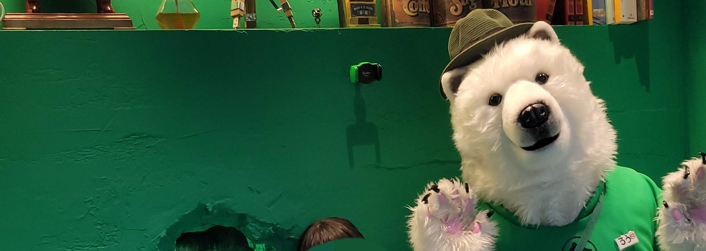 ANAKUMA CAFE - Klook Estados Unidos