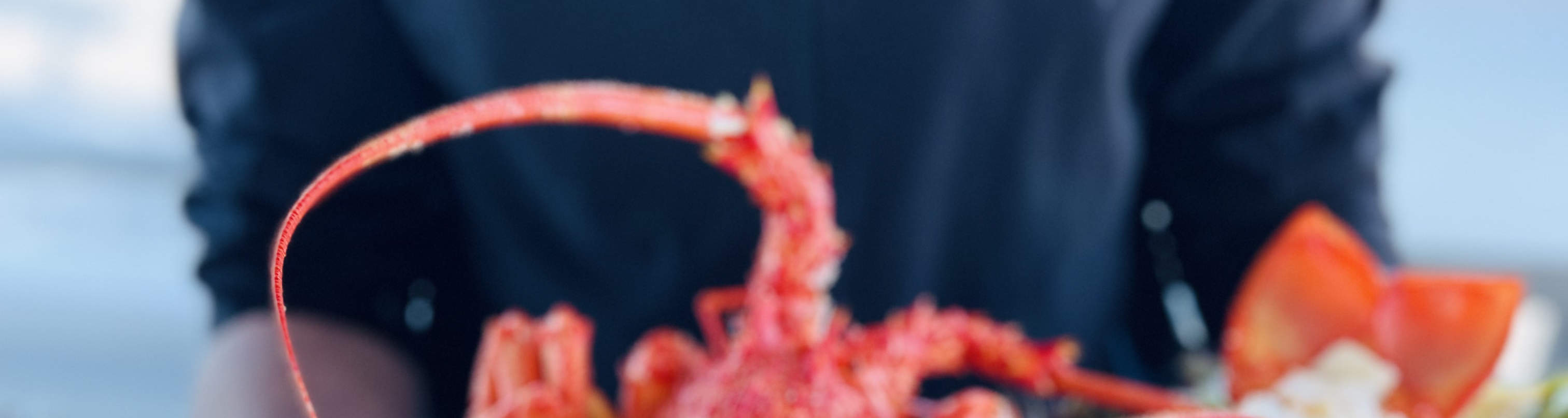 Deep-to-Dish: Tasmanian Seafood Cruise from Hobart - Klook Hong Kong