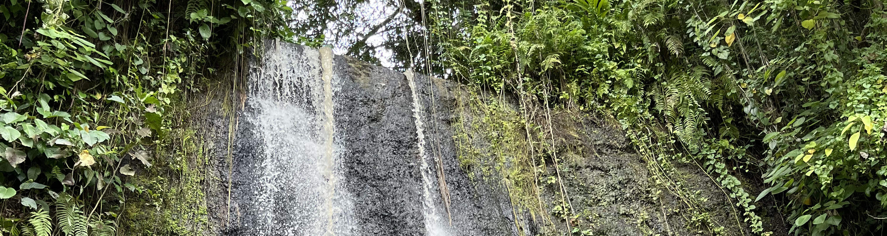 Tubing Experience in Ubud by Wos Tubing Adventure - Klook