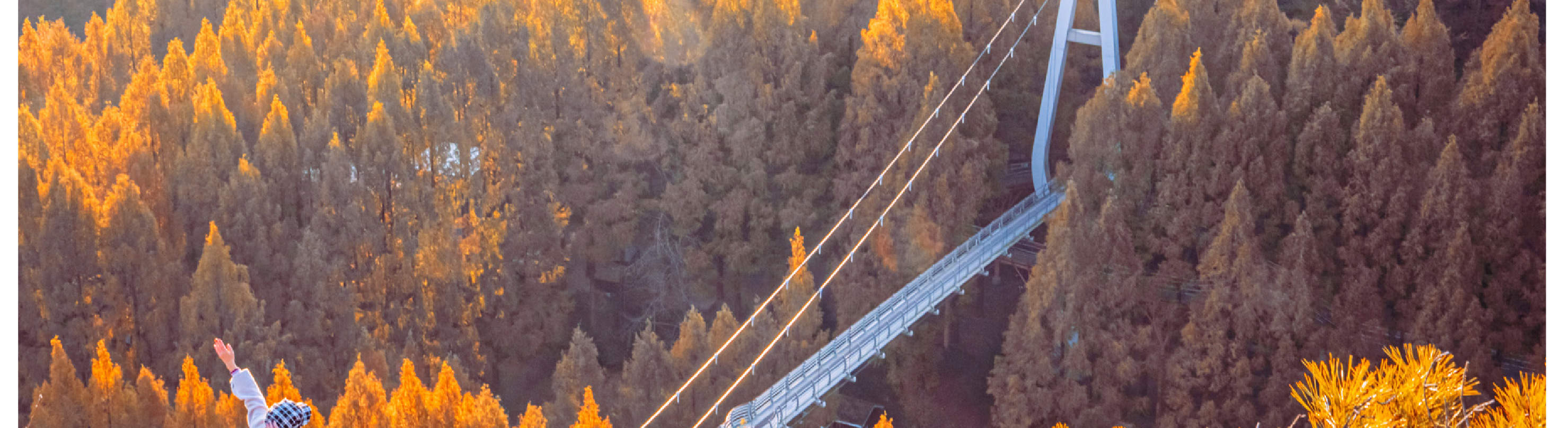 Jangtaesan Autumn Foliage One Day Tour from Seoul - Klook Estados Unidos