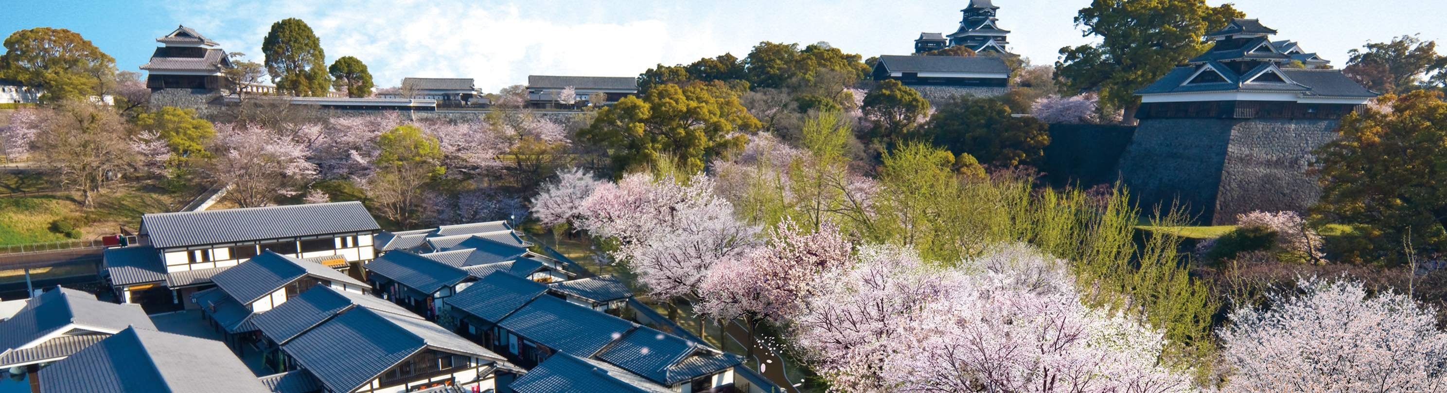 Kumamoto Castle, Aso Crater, and Kamishiromi Kumanoza Shrine Day Tour ...