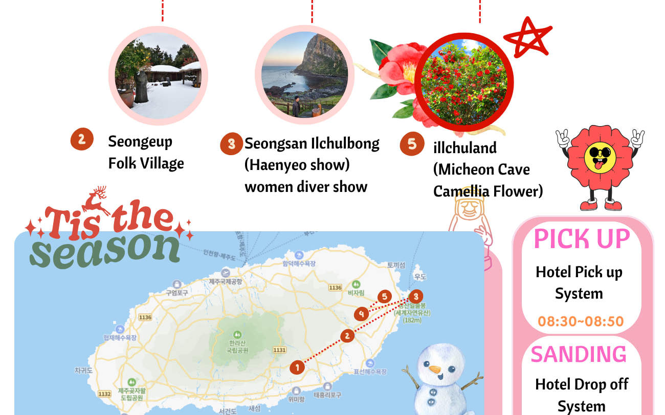 Jeju Camellia & Tangerine & Snow Winter Seasonal Tour - Klook United States