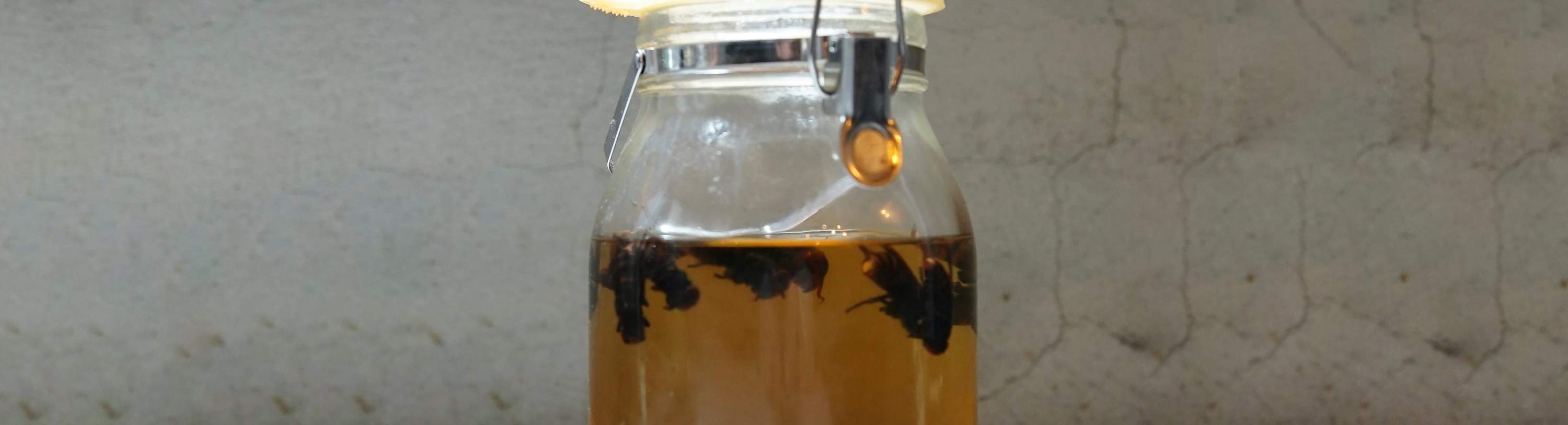 NEO SHINJYUKU ATSUSHI - Themed Restaurant in Tokyo, Shinjuku - Klook