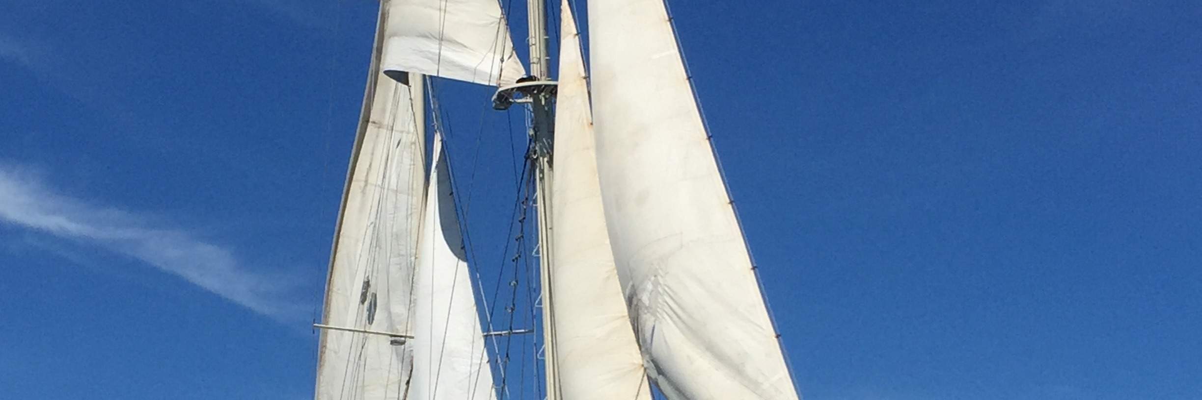 Island and Reef Day Sail - Klook