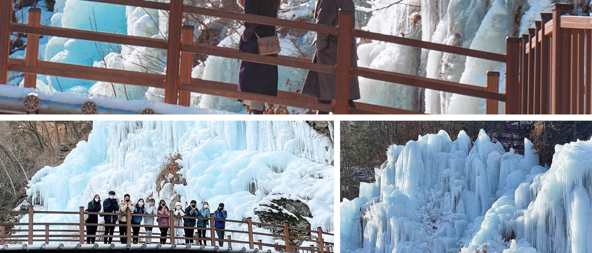 Nami Island & Eobi Ice Valley & Panorama Field & Morning Calm Tour ...