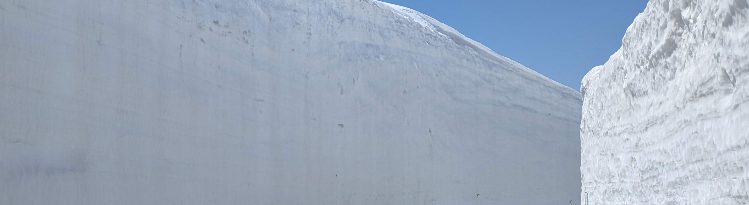 Tateyama Snow Walls and Zuiryuji Temple Join In Day Bus Tour from ...