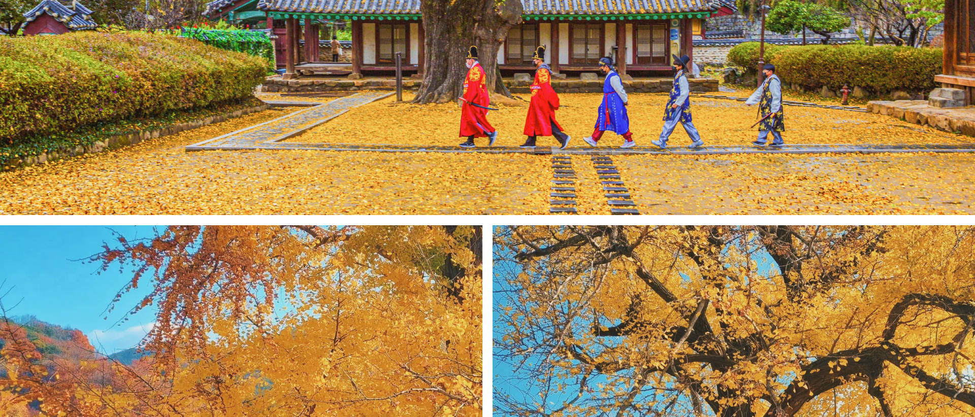 Jeonju Hanok Village & Seasonal Popular Attractions Day Tour - Klook
