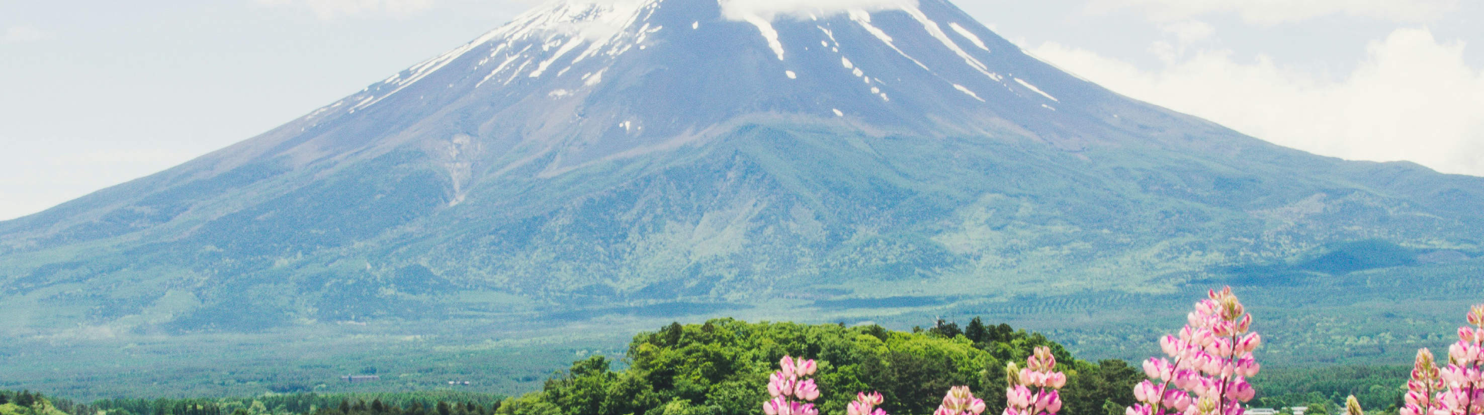[Mt. Fuji & Hakone] Fujisan Yumeno Ohashi, Owakudani, Oshino Hakkai - Klook