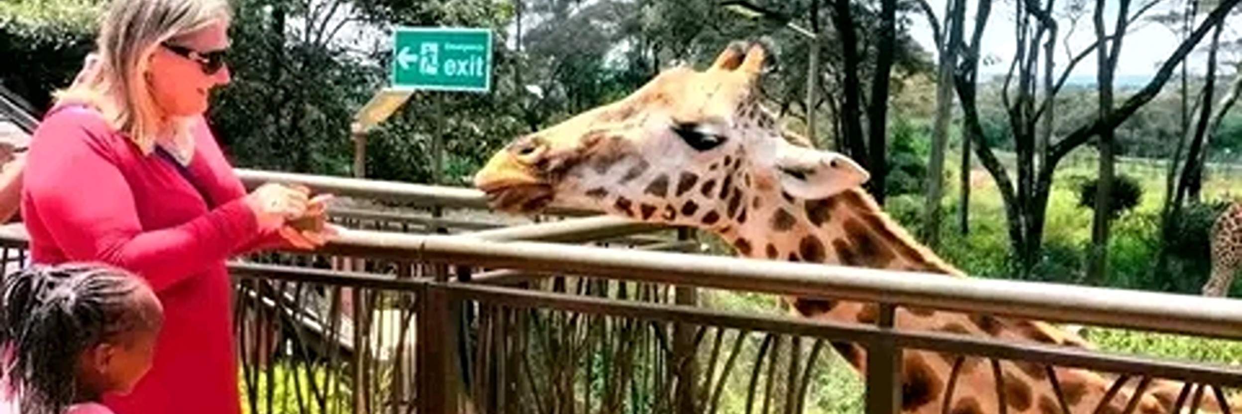 Mombasa: Guided Nature Walk Amongst Giraffes - Klook United Kingdom