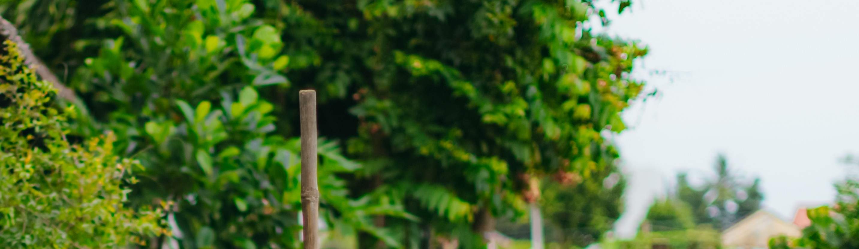 HoiAnGO Local Life Experience: Countryside by E-Car - Klook Philippines