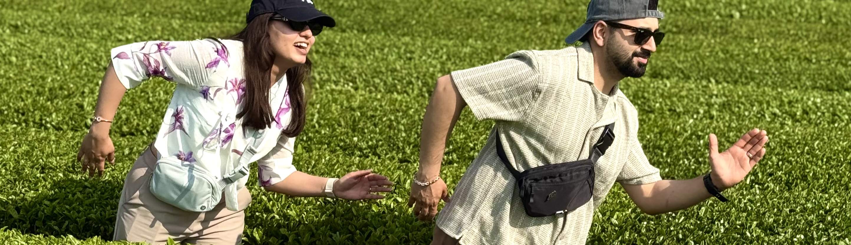 Jeju Fall Foliage, Tangerine Picking, Pink Muhly & Silver Grass Tour ...