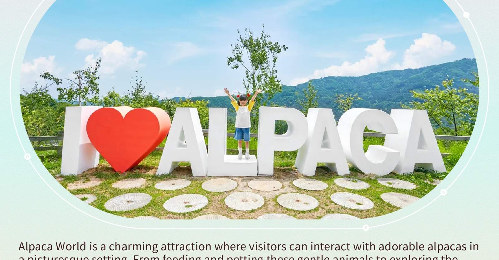 Alpaca Pasture, Strawberry Picking, and Sledding Day Trip from Seoul, South Korea - Klook ...
