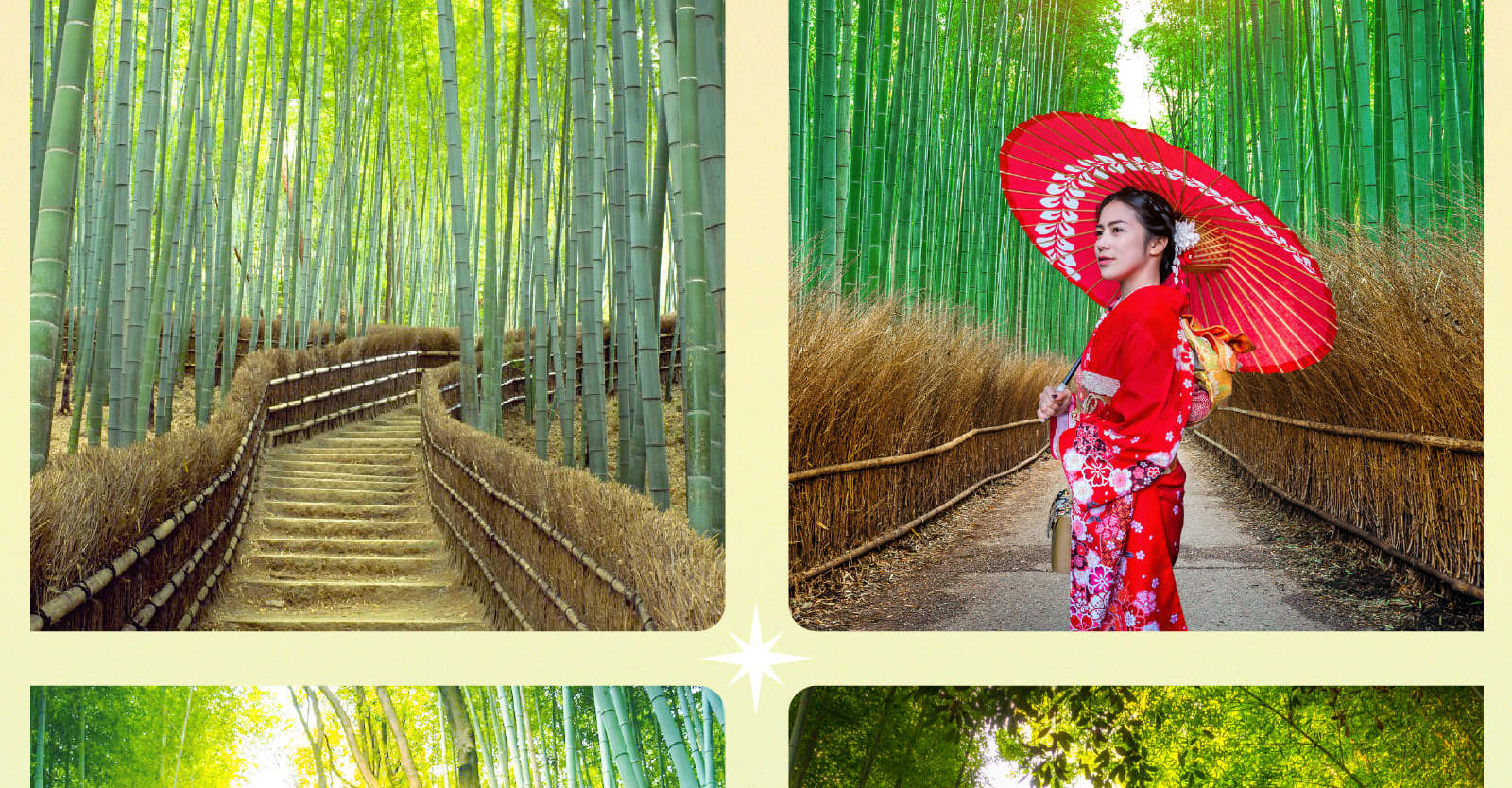 Arashiyama, Nara & Yasaka Shrine & Hanamikoji OneDay Tour from Osaka ...