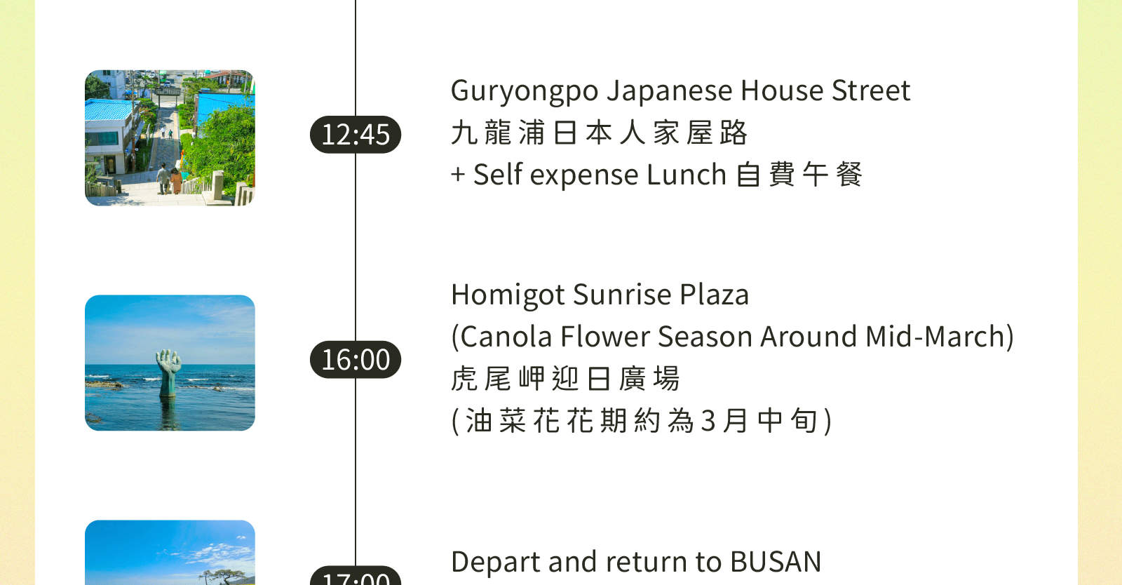 Pohang Space Walk x Cherry Blossom, Guryongpo, Homigot Canola Flower ...