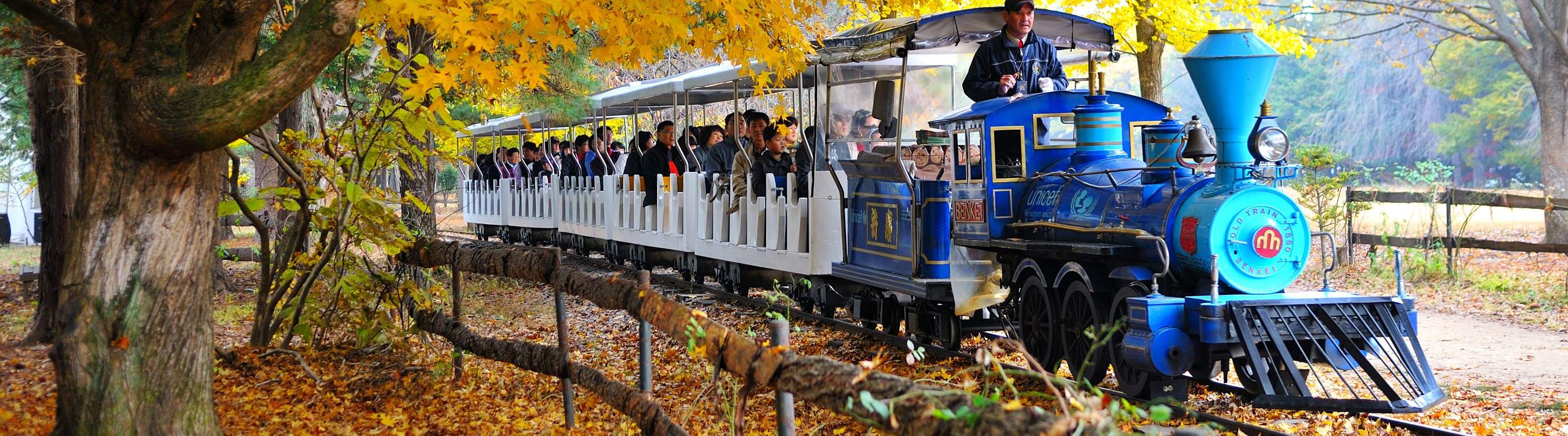 Nami Island & Nijimori Japan & Morning Calm & Railbike & Alpaca - Klook