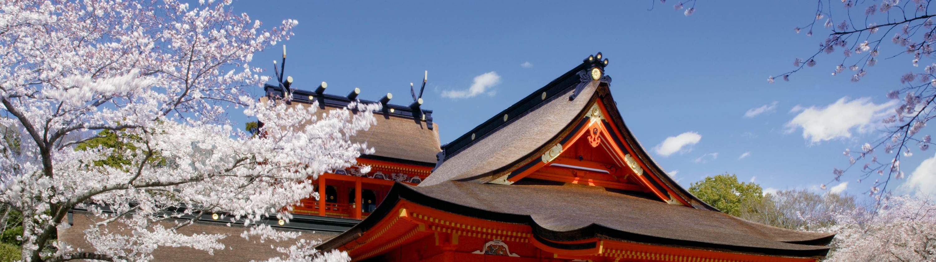 Feel Mt.Fuji and Sake tasting 1D Private Tour from Shin-Fuji Station ...