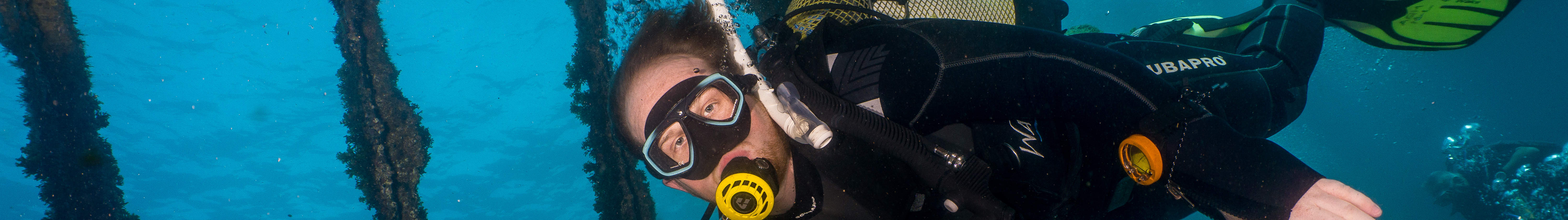 4 Dive Pack (by boat) in Canary Islands with PADI 5 Star IDC - Klook ...