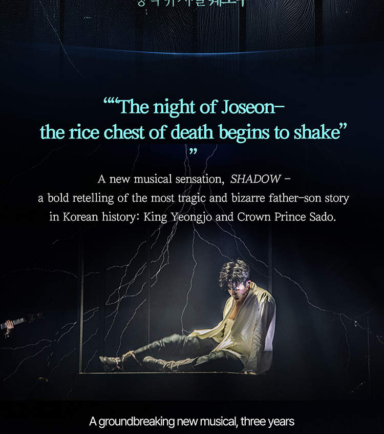 Musical SHADOW Ticket in Seoul - Klook United Kingdom