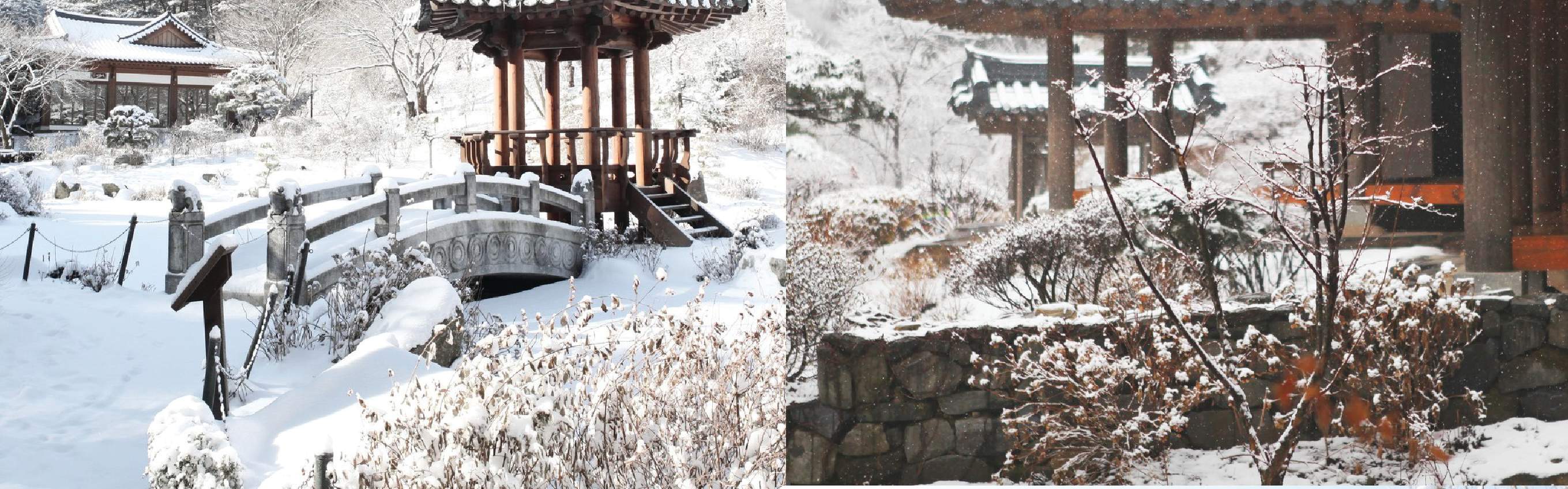 Nami Island & Eobi Ice Valley & Panorama Field & Morning Calm Tour ...