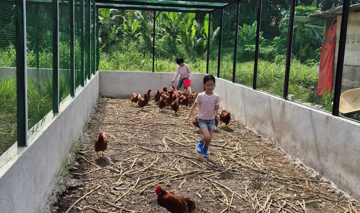 Gentle Farms Tours in Johor Bahru - Klook Singapore