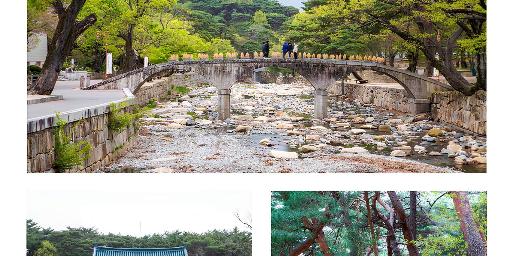 [BTO限定] 釜山発 蔚山＆梁山 1日ツアー | Klook