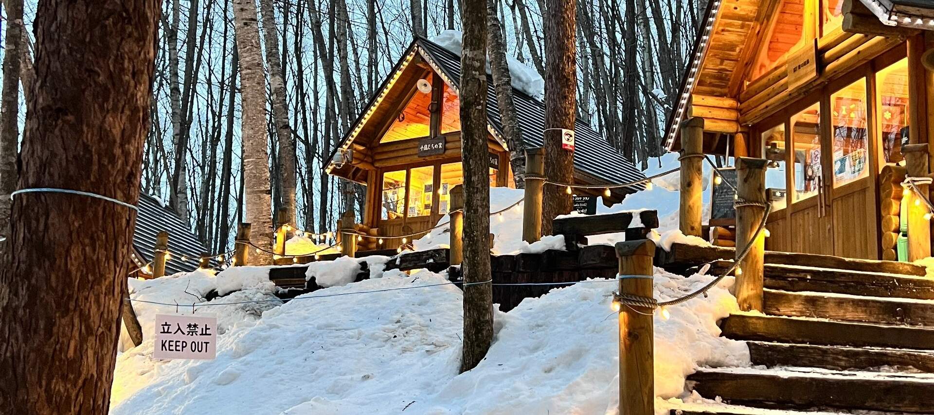 One-day tour of Hokkaido's popular attractions (Asahikawa Zoo ...