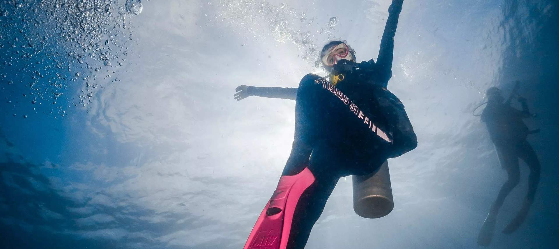 Experience an Exciting Full-Day Fun Dive in Menjangan with Our PADI ...