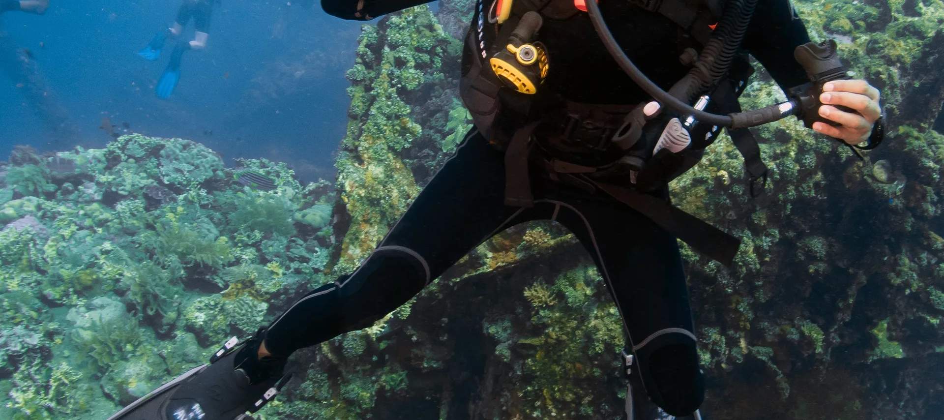 Experience an Exciting Full-Day Fun Dive in Menjangan with Our PADI ...