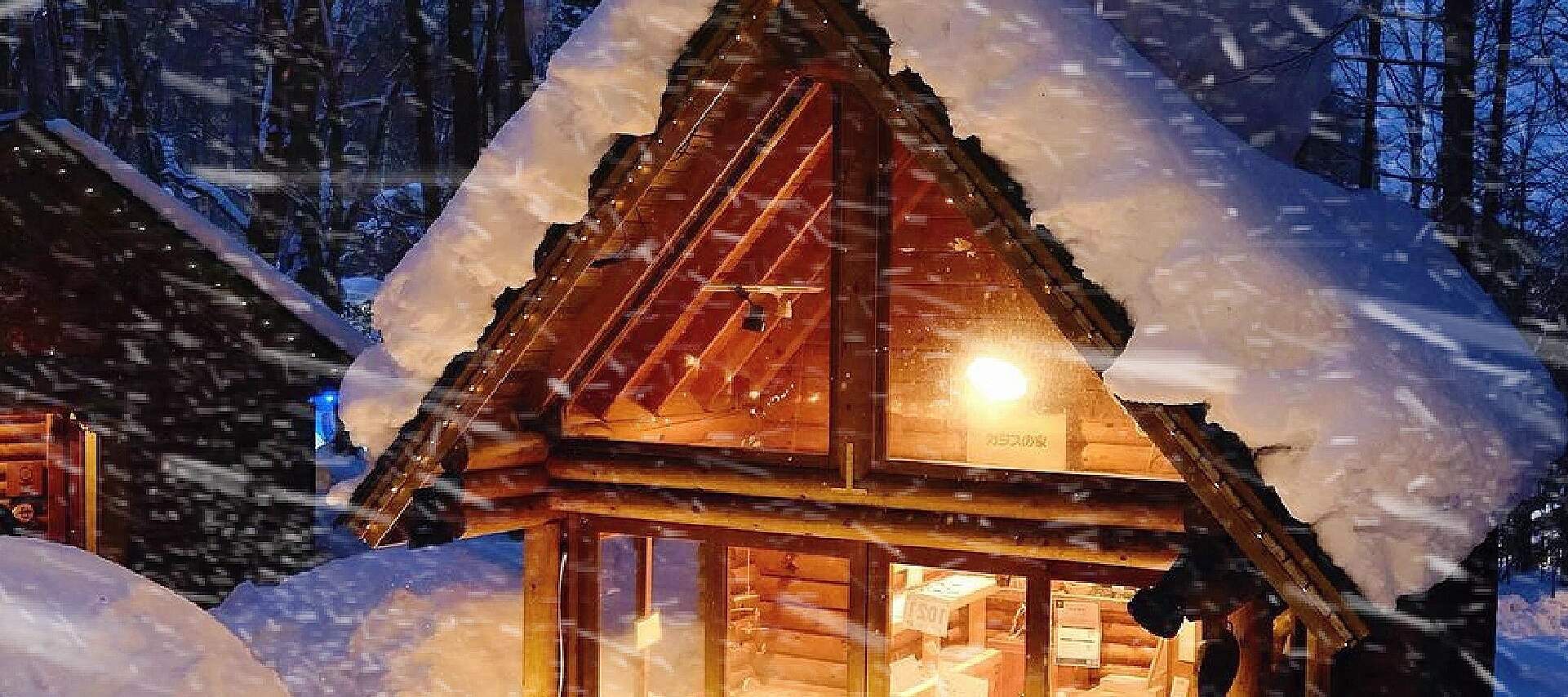 One-day tour of Hokkaido's popular attractions (Asahikawa Zoo ...