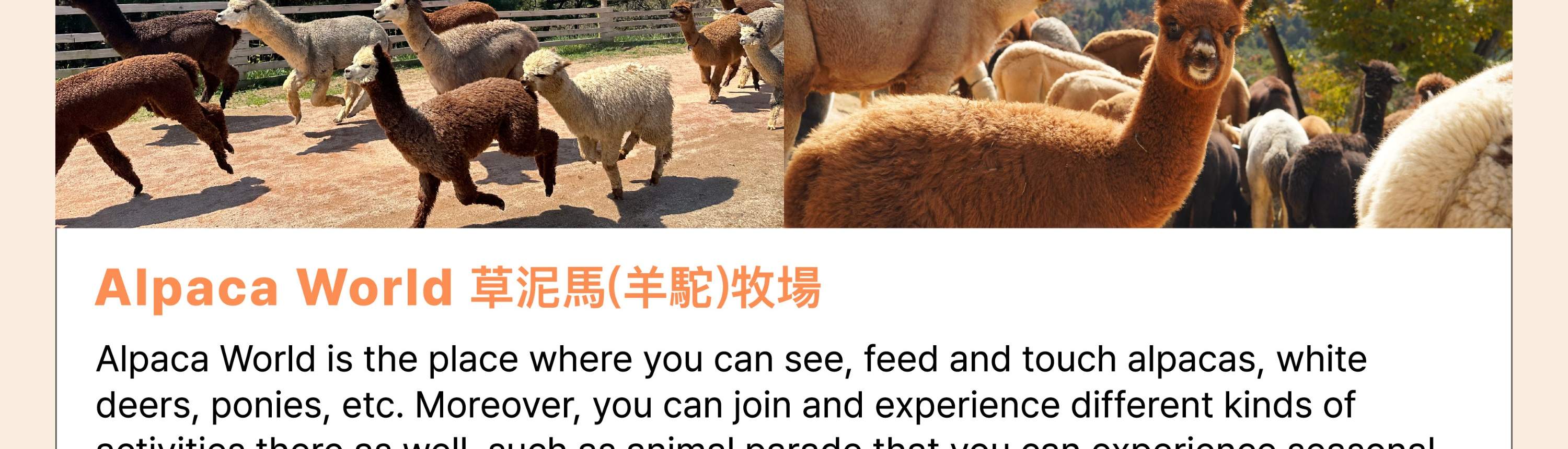 Alpaca World, Jade Garden, and Gubongsan Mountain Observatory Café ...