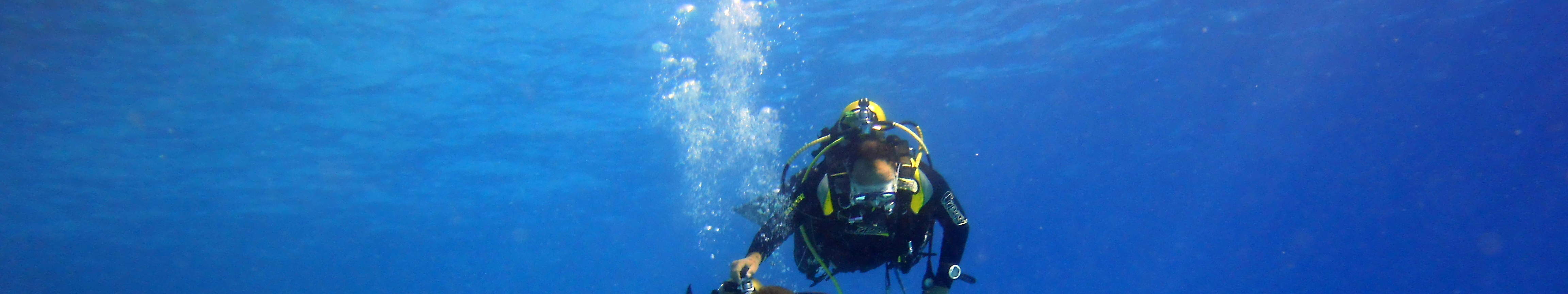 Experience PADI Discover Scuba Diving in Koh Tao with PADI 5 Star CDC ...
