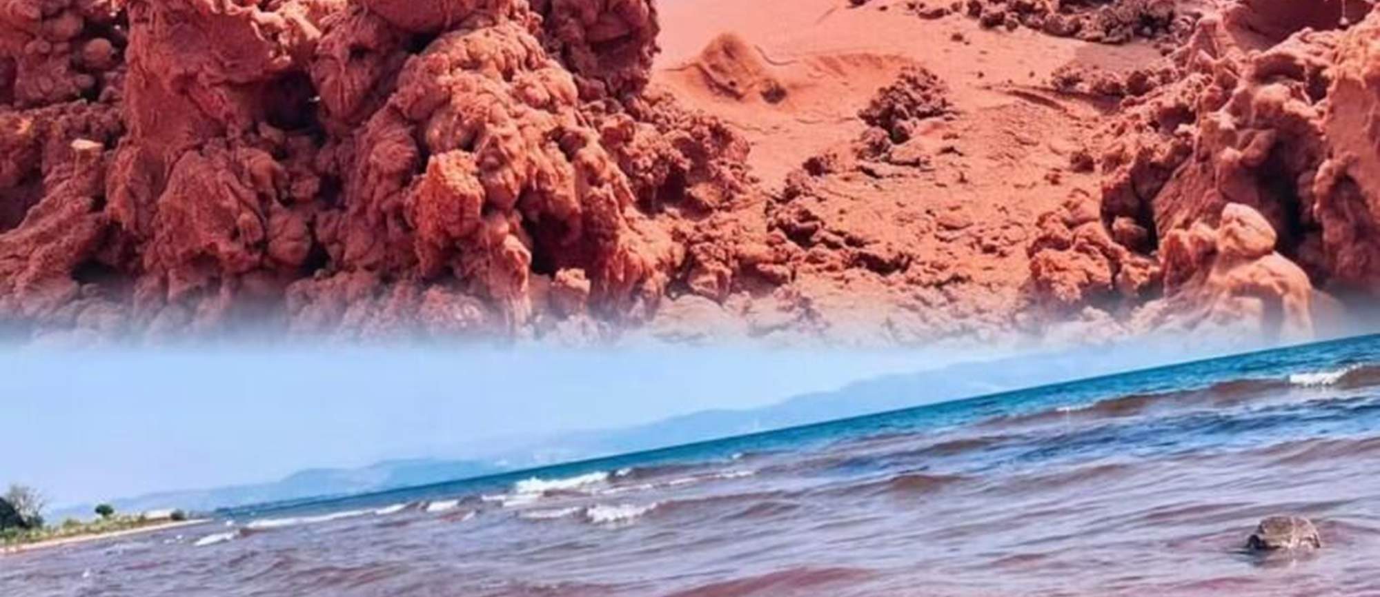 Pure Fuxian Lake Day Tour in Yunnan (Fuhai Bay Wetland Park + Hongzui ...