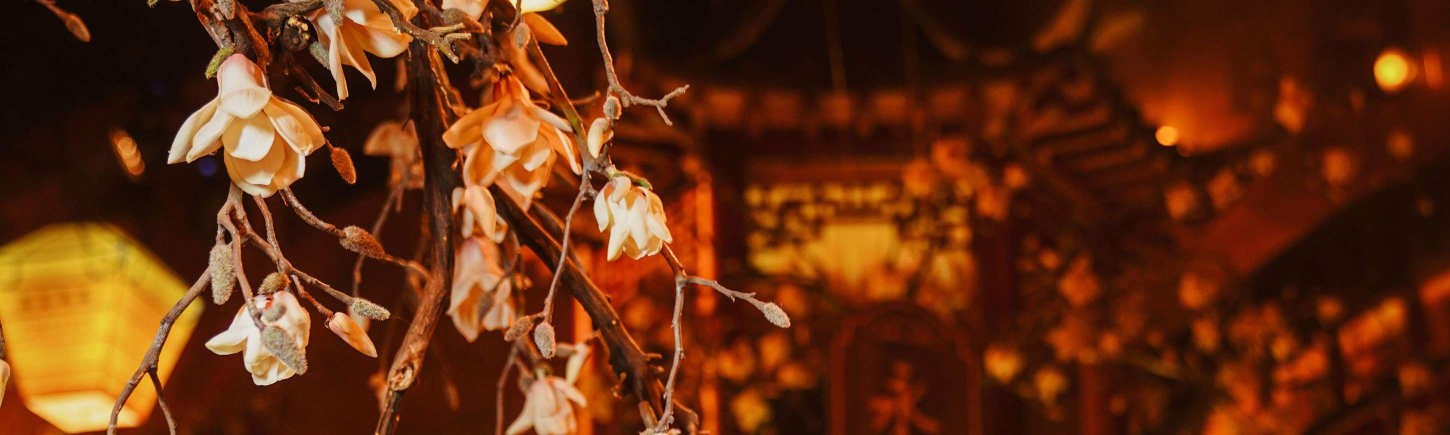 Shenzhen Xuyan - Immersive Chinese Ancient Palace Banquet - Klook ...