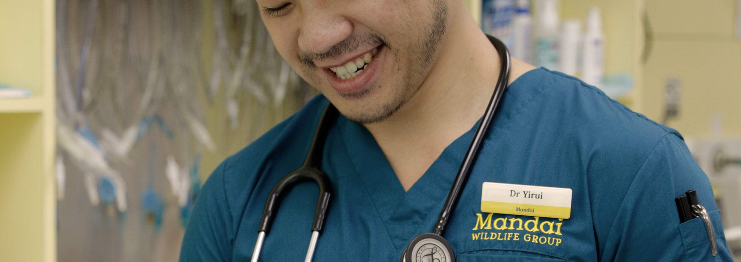 Be a Wildlife Doctor at the Mandai Wildlife Reserve Singapore - Klook ...