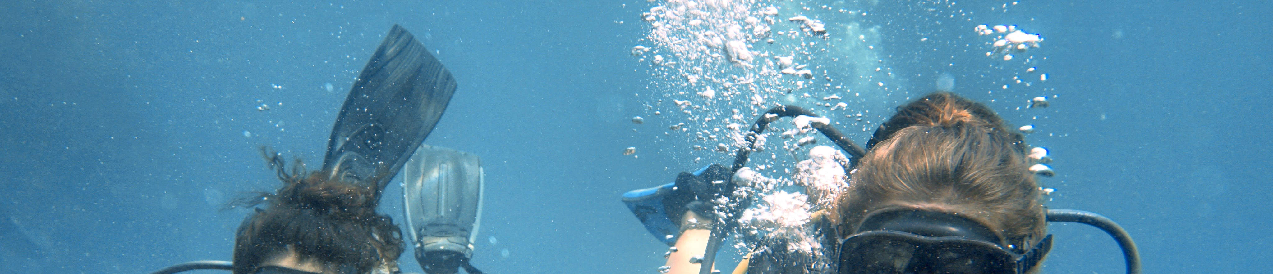 Experience Scuba Diving with Pool Training at a PADI 5 Star Dive Resort ...