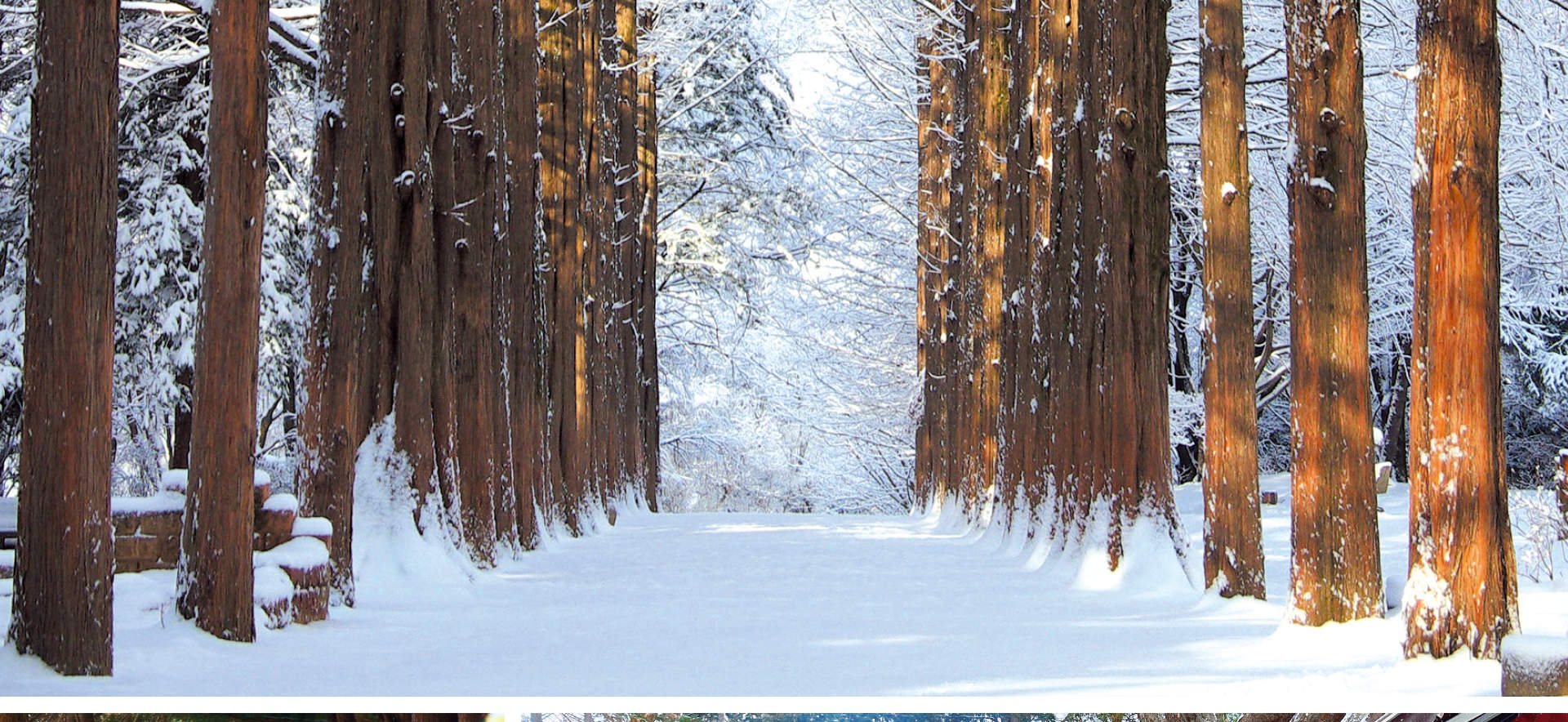 Winter Day Tour: Seorak Frozen Town & Strawberry Picking & Snow Sled ...