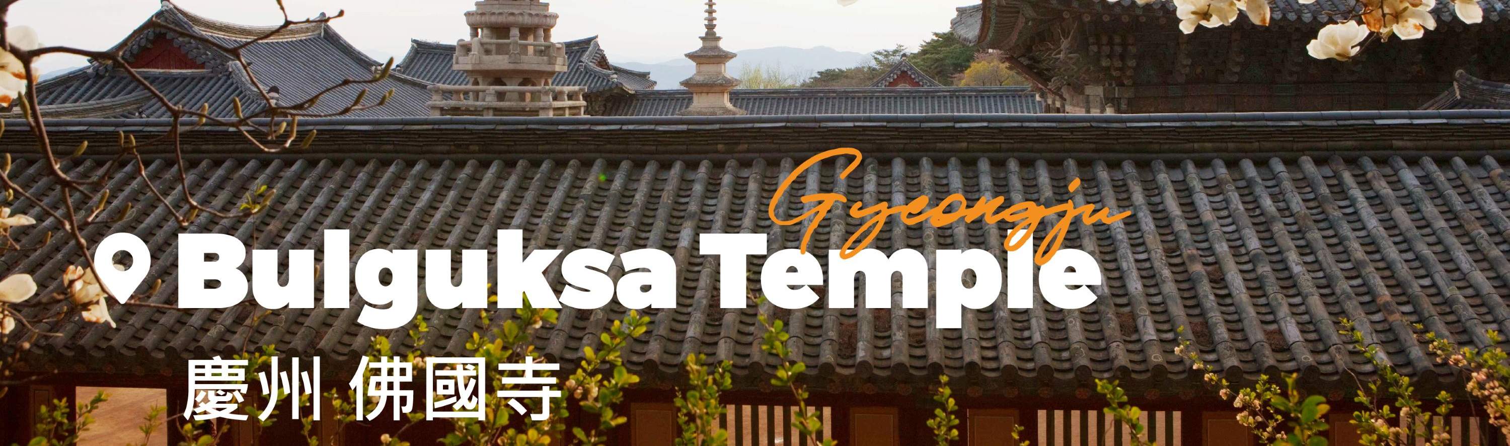 Gyeongju Cherry Blossom Tour from SEOUL / BUSAN - Klook