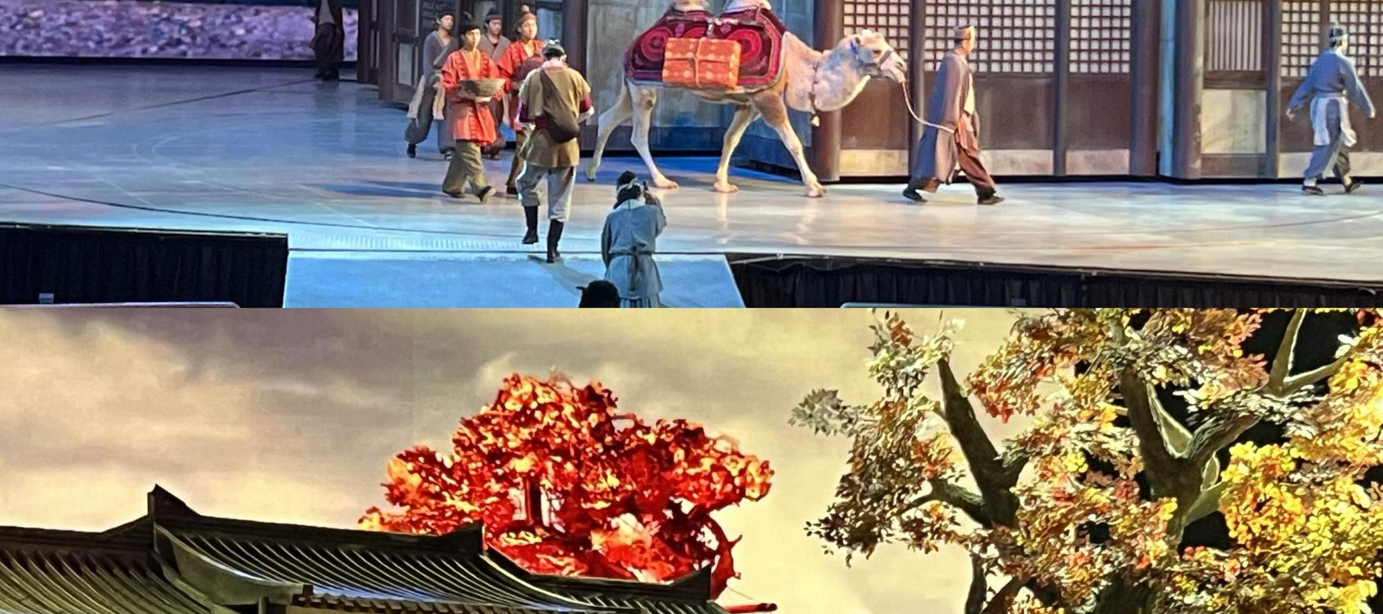 Shaanxi History Museum explanation + "Camel Bell Show" / "Xi'an Eternal ...