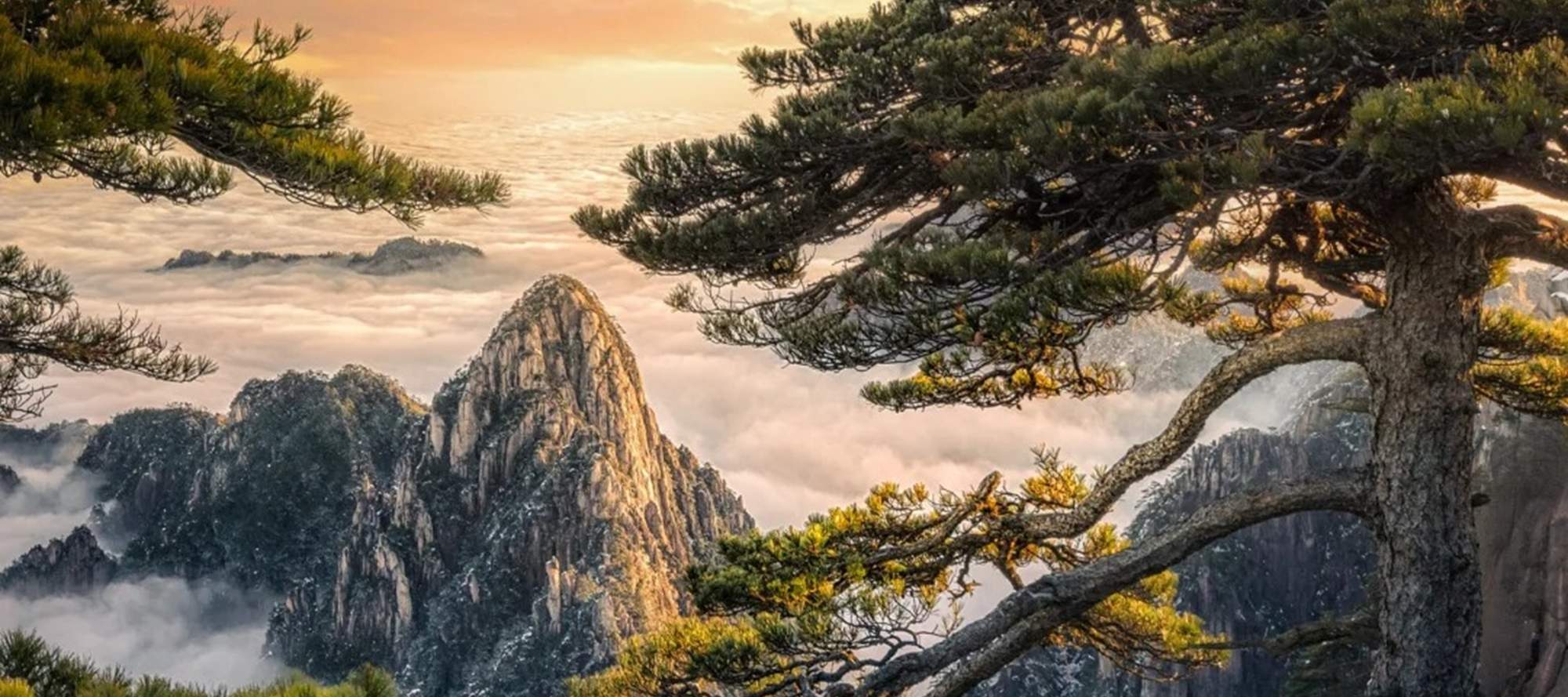One-day tour of Huangshan Scenic Area in Anhui (Huangshan Strange Pine Welcoming Visitors ...