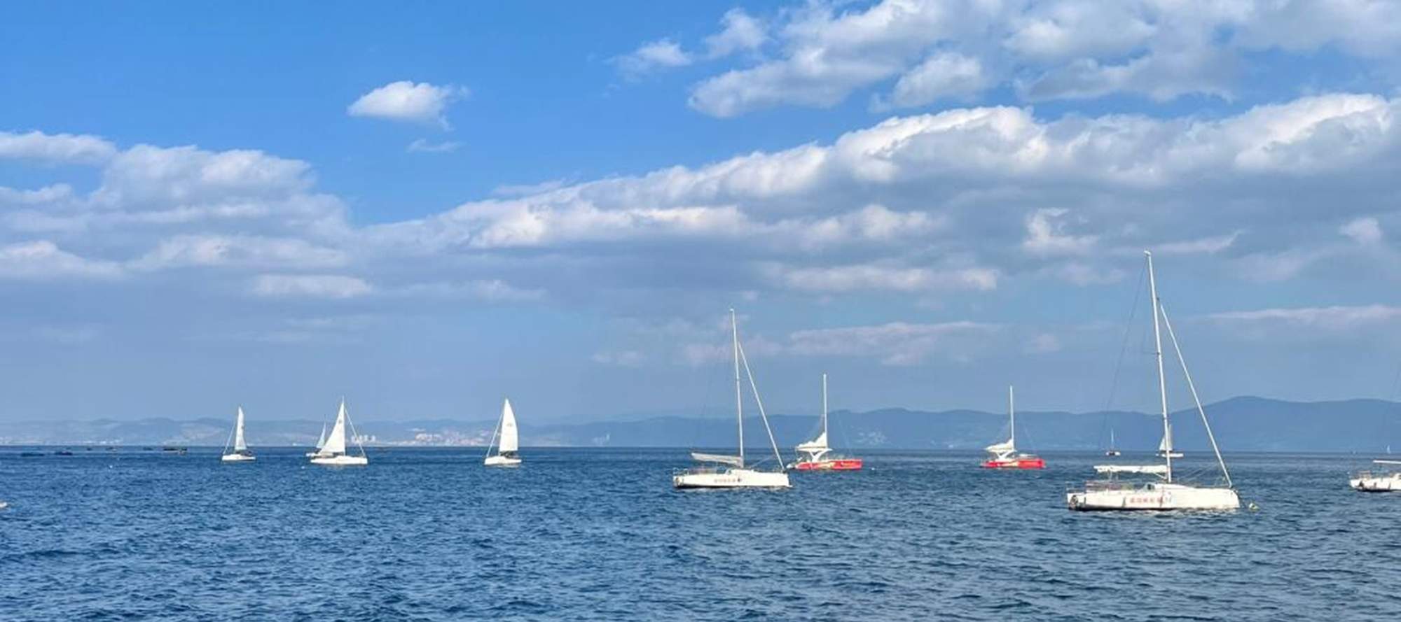 Pure Fuxian Lake Day Tour in Yunnan (Fuhai Bay Wetland Park + Hongzui ...